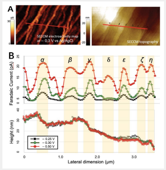 High-Resolution Measurement Of Potential-Dependent Electrochemical ...